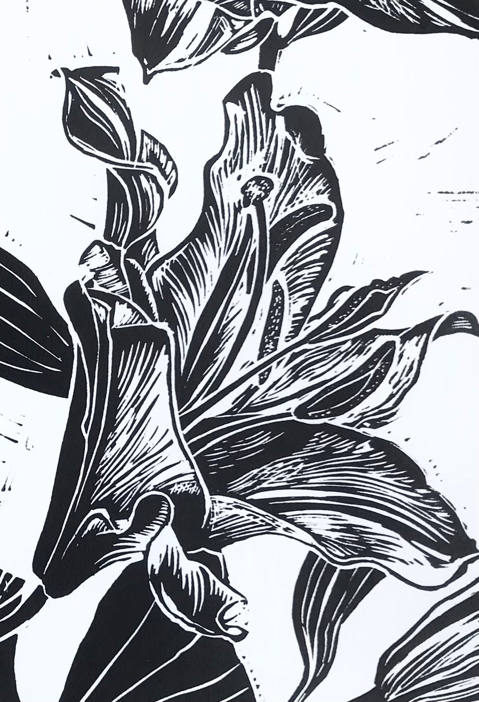 Lily Linocut - Limited Edition Flower Print - Etsy