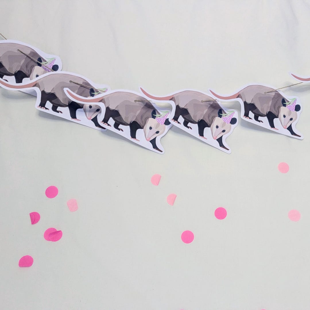 Party Possum Card Bunting/ Decor/ Funny / Party Decorations - Etsy