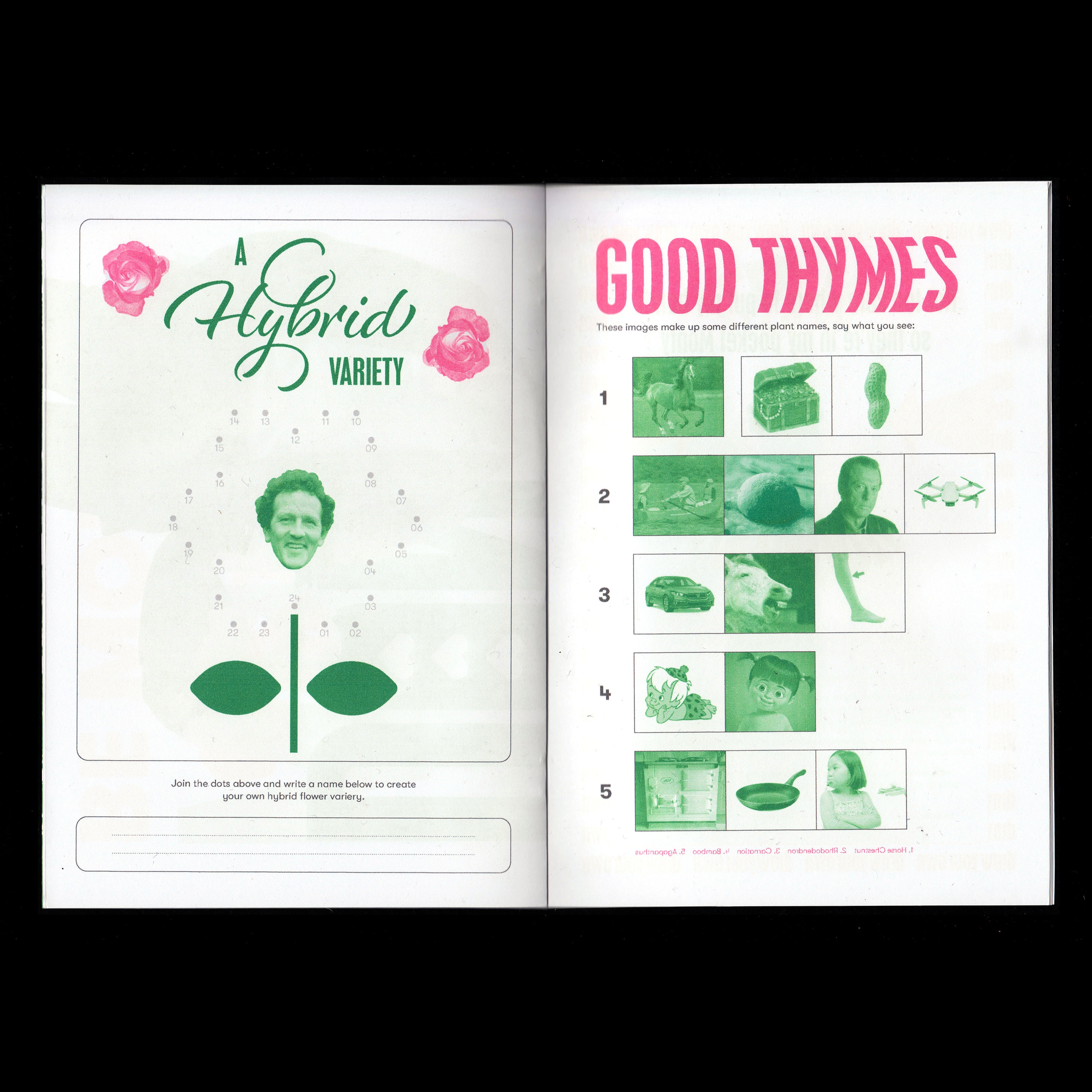 The Full Monty A Monty Don Activity Fanzine - Etsy