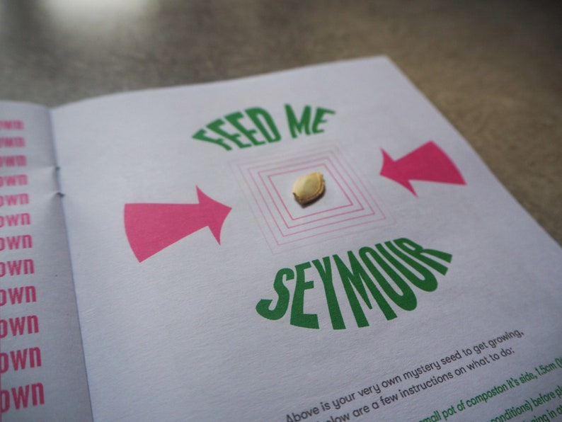 The Full Monty A Monty Don Activity Fanzine - Etsy