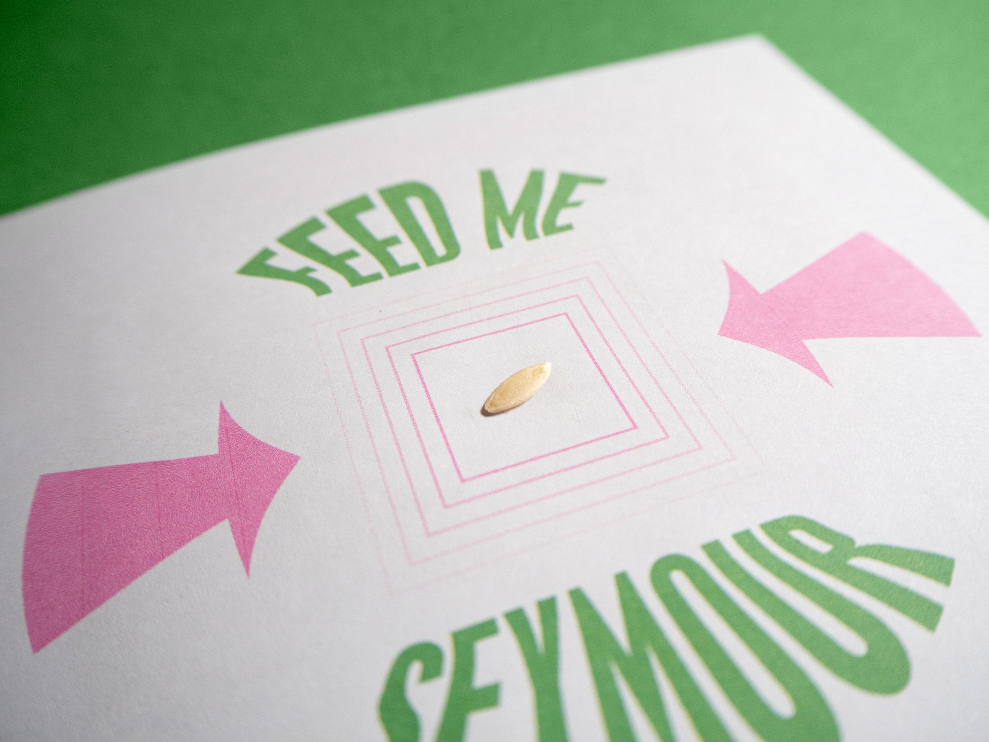 The Full Monty A Monty Don Activity Fanzine - Etsy