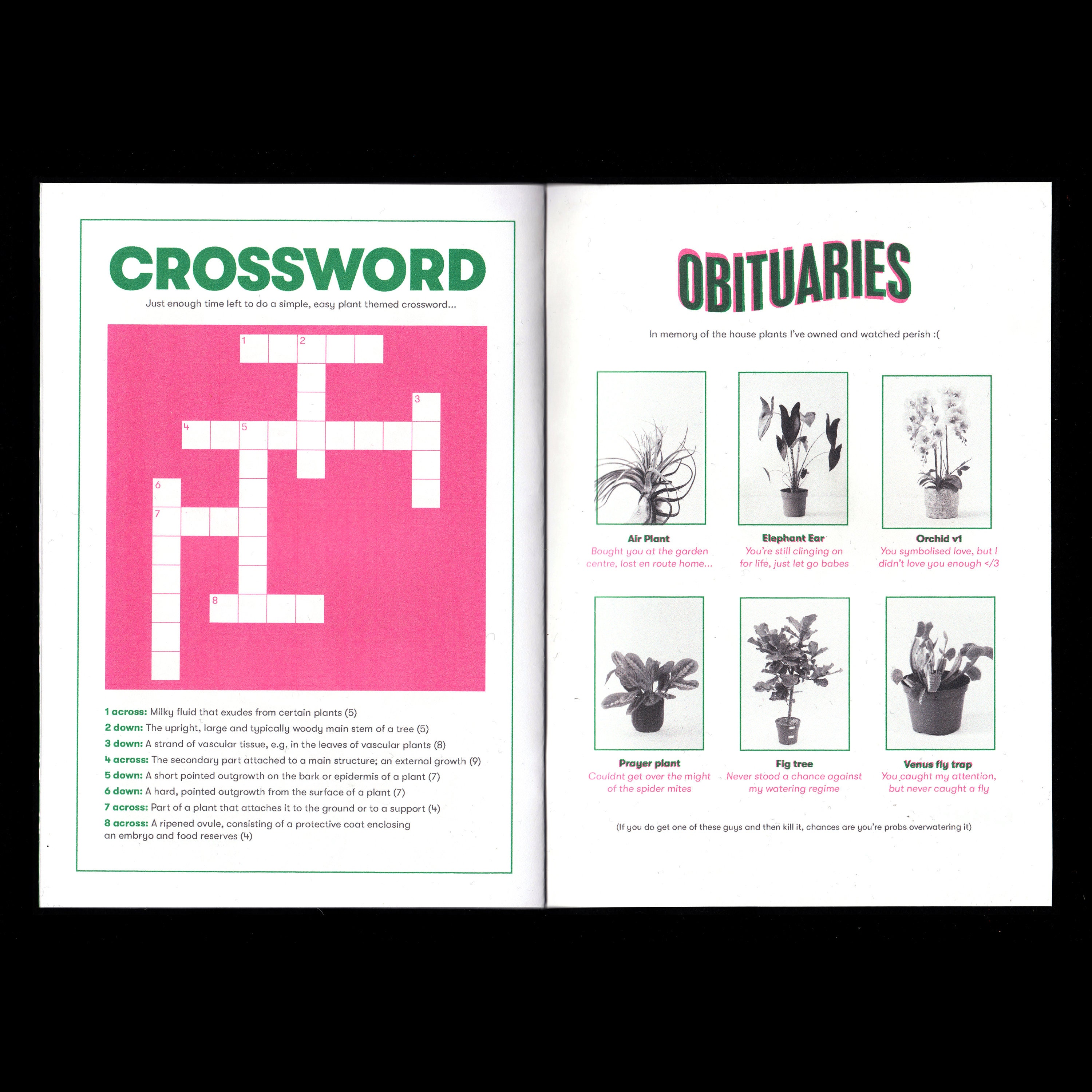 The Full Monty A Monty Don Activity Fanzine - Etsy