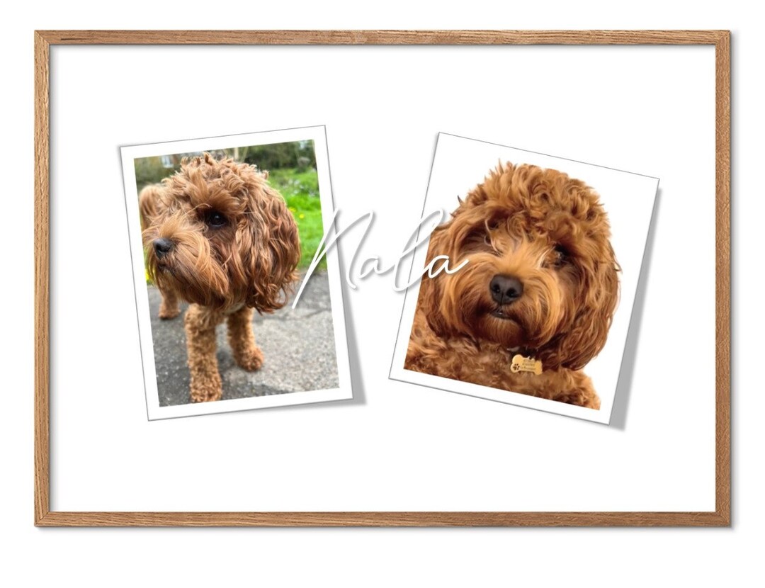 Pet Photo Print, Personalised Photo Gift, Dog Owner Gift, Dog Mum, Dog ...