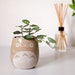 Totoro Studio Ghibli Stoneware Ceramic Cup, Tumbler, Mug, Plant Pot - Etsy
