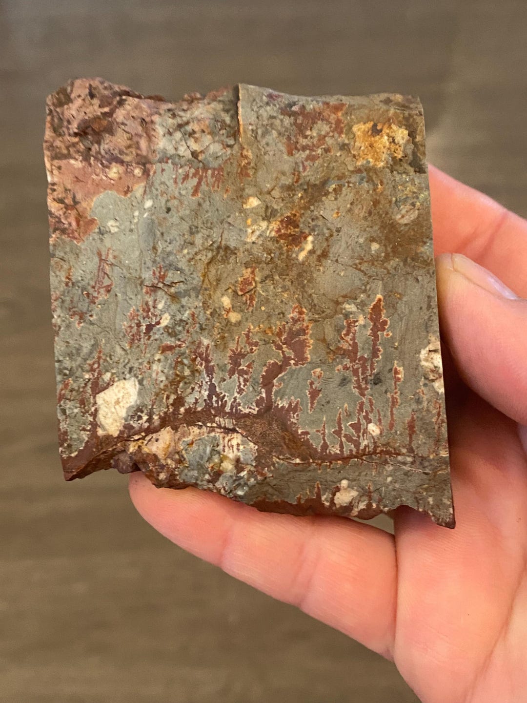 Sonoran Dendritic Jasper Mexico, Rough Over 1lb, Lapidary Supplies ...