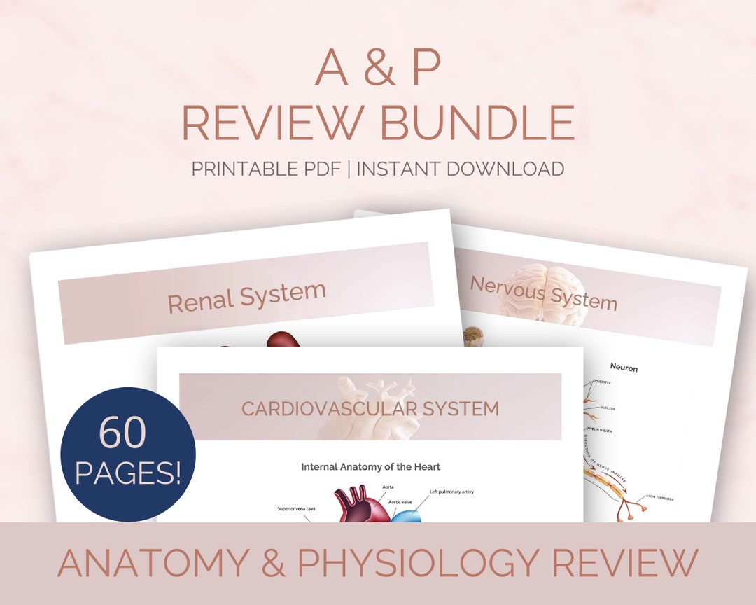 Anatomy and Physiology Notes Bundle | Study Guide for Nursing Students ...