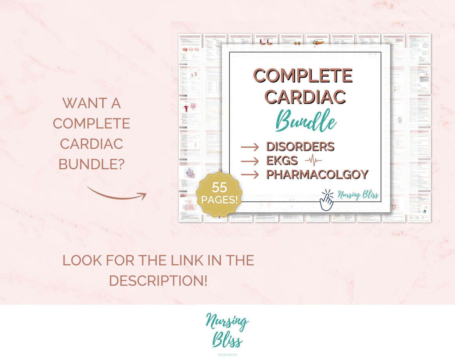 Peripheral Venous & Arterial Disease Vascular Disorders Study Guides ...