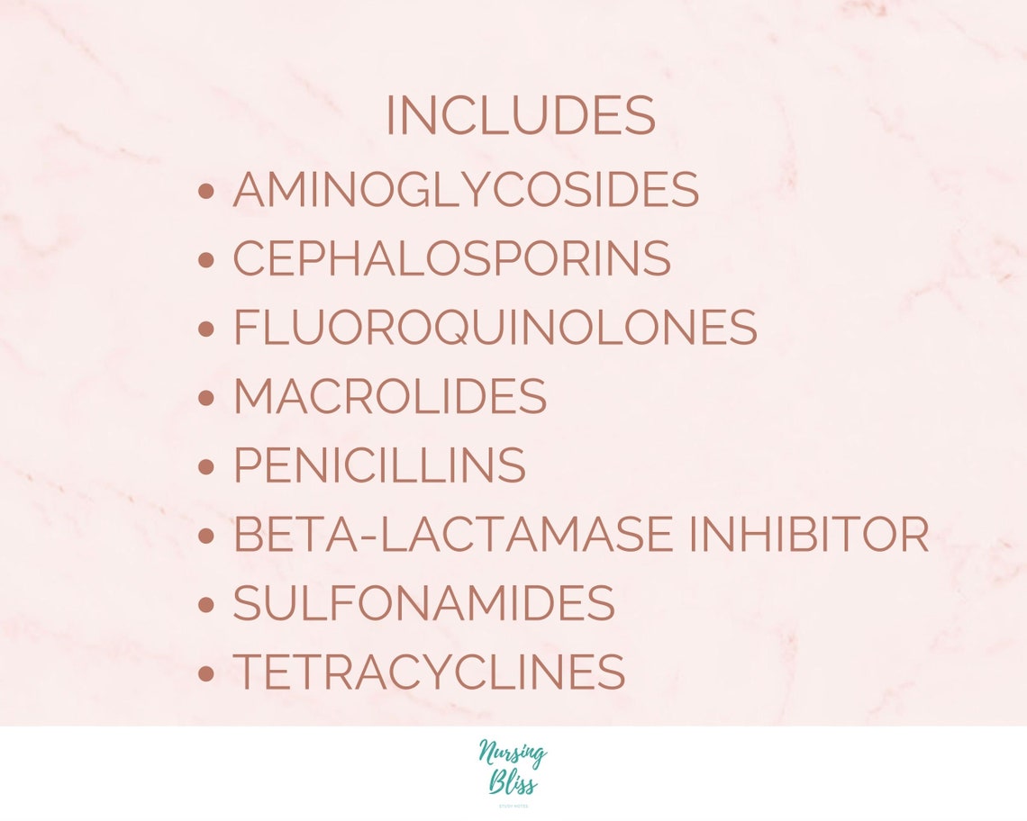 Nursing Pharmacology Antibiotics Bundle Immune System Study Guide 7 ...