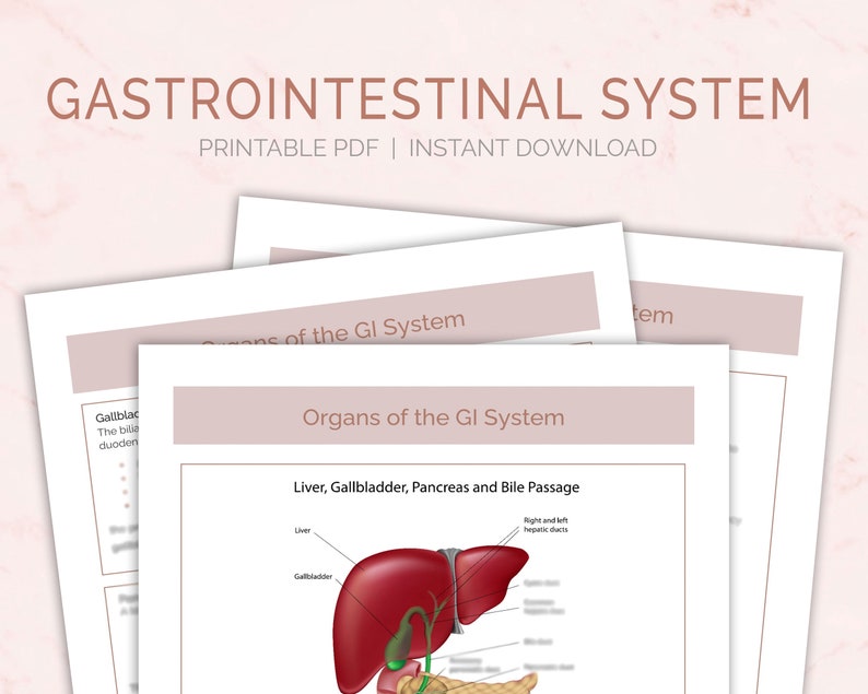 Digestive System Nursing Notes Gastrointestinal Student Study Guides A ...