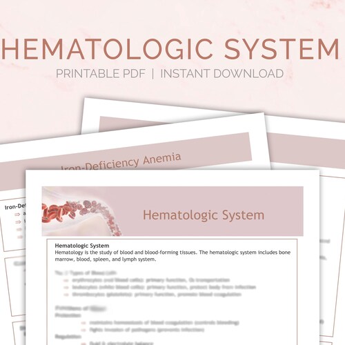 Hematologic Disorders Nursing Notes Student Study Guides - Etsy