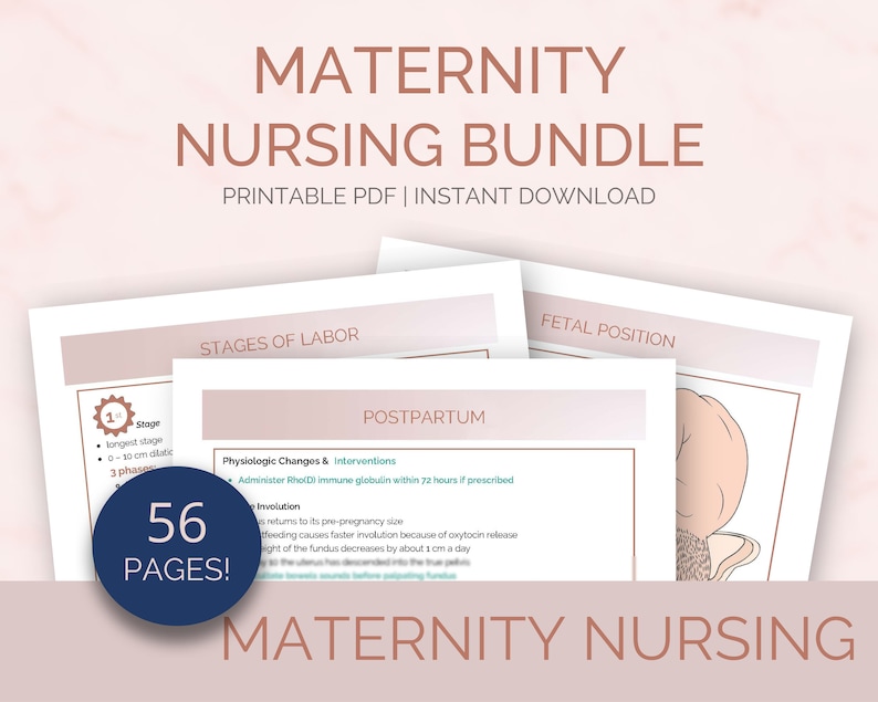 OB Maternity Nursing Study Guide, Nursing Notes, 56 Pages | Includes ...