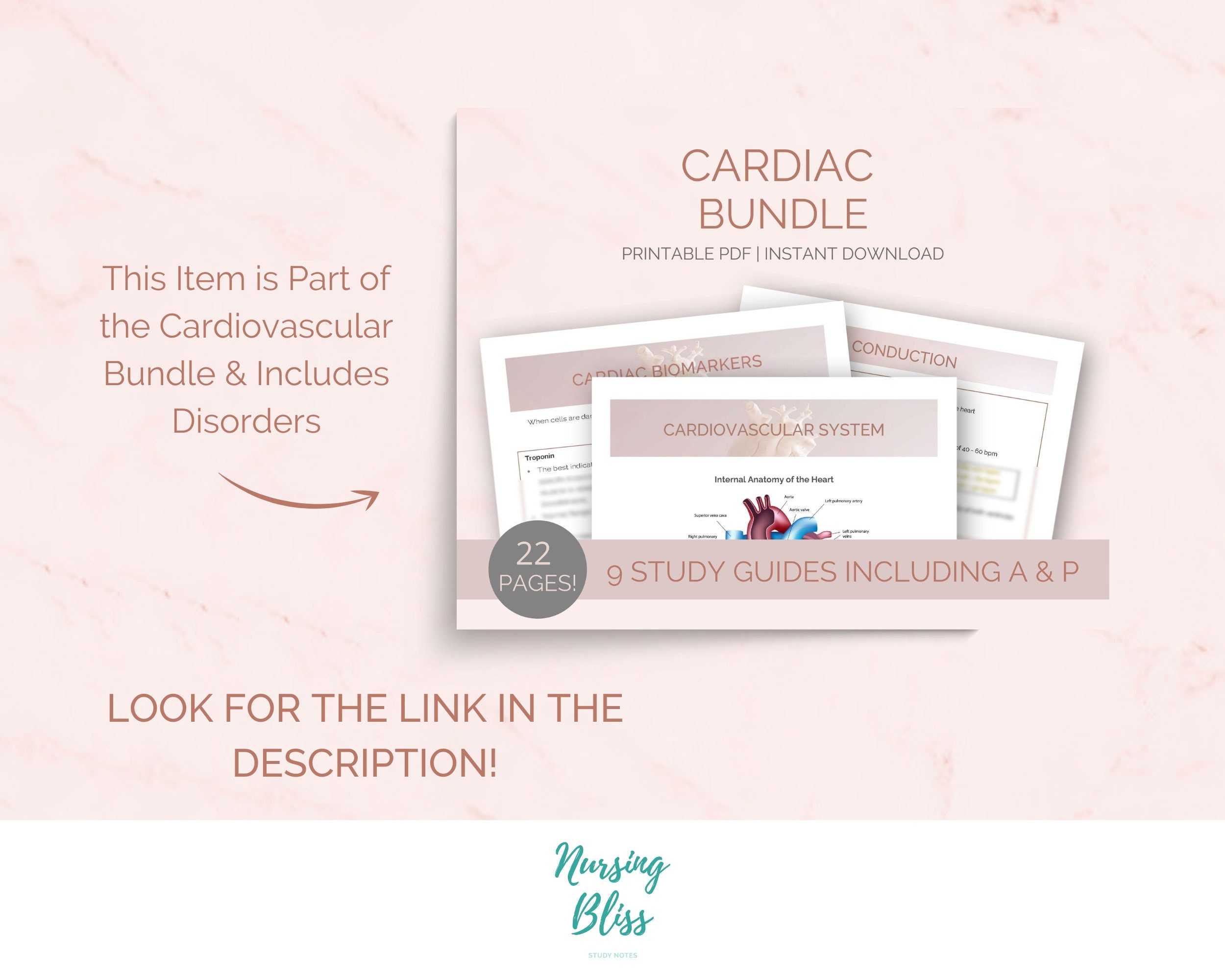 Cardiovascular System A & P Study Guide | Nursing Notes | the Heart ...
