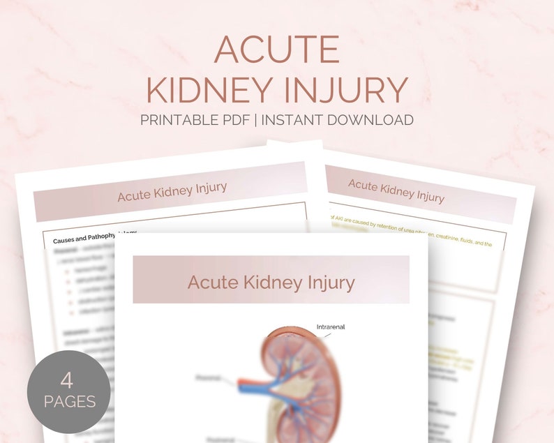 Renal / Urinary System Bundle Study Guide Nursing Notes | UTI | Calculi ...