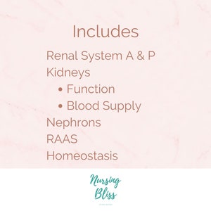 Renal / Urinary System Study Guide | Nursing Student Notes | Anatomy ...