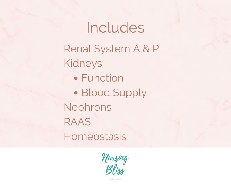 Renal / Urinary System Study Guide | Nursing Student Notes | Anatomy ...