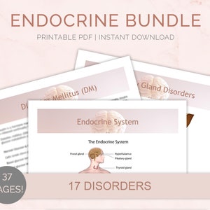 Endocrine Bundle Nursing Notes | Student Study Guides | Diabetes ...