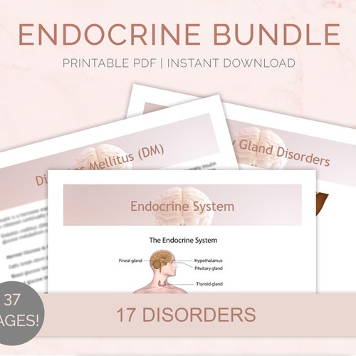 GI Disorders Bundle Nursing Notes Student Study Guides - Etsy