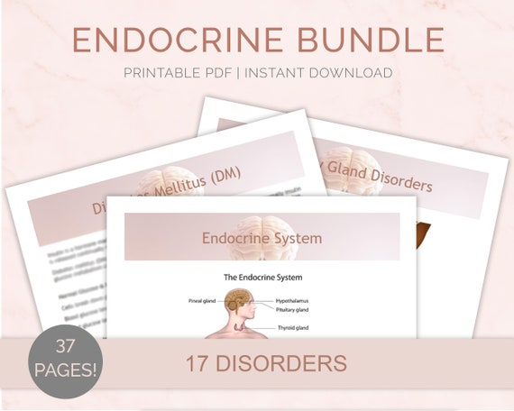 Endocrine Bundle Nursing Notes Student Study Guides | Etsy