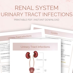 Renal / Urinary System Bundle Study Guide Nursing Notes | UTI | Calculi ...