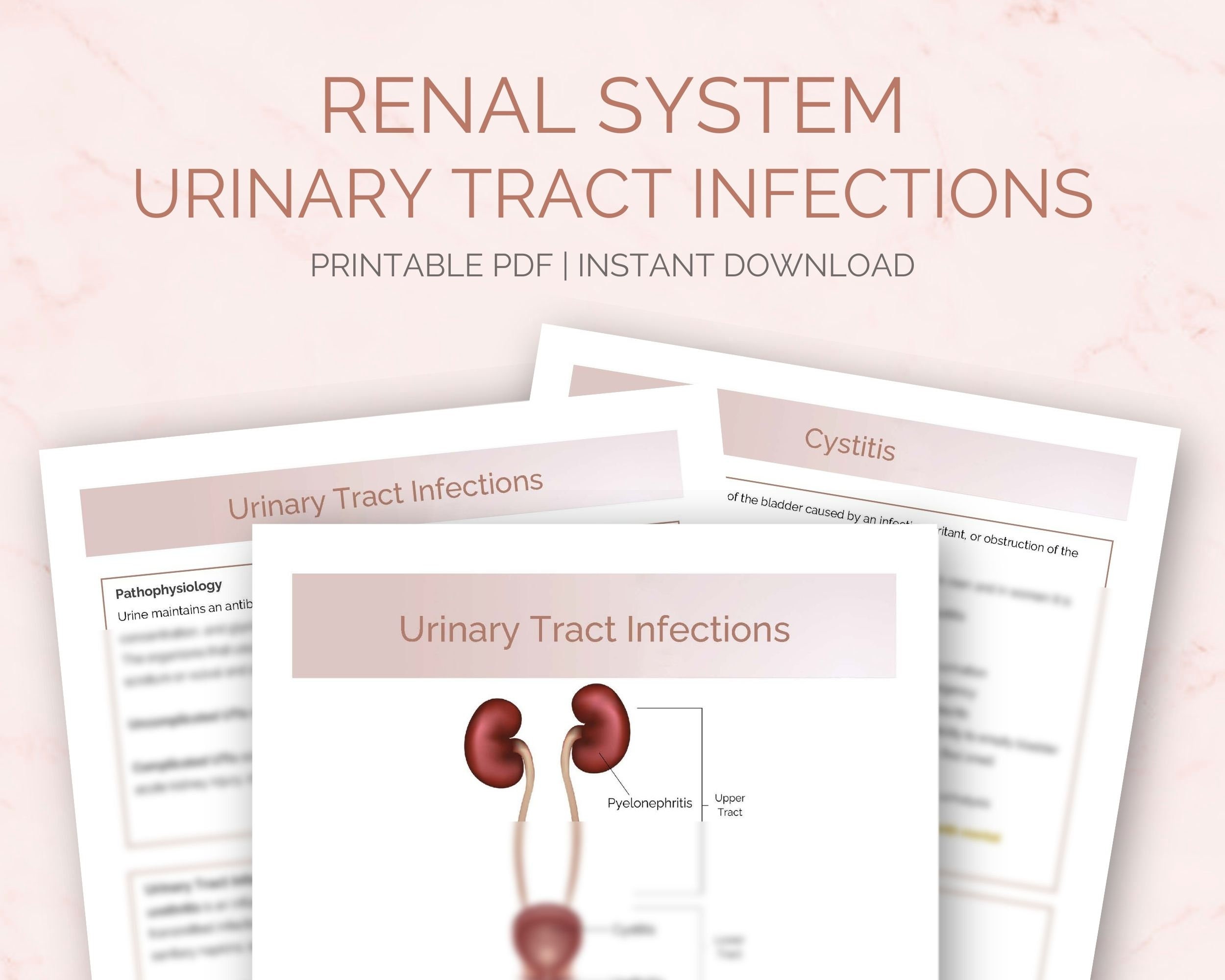 Renal / Urinary System Bundle Study Guide Nursing Notes | UTI | Calculi ...