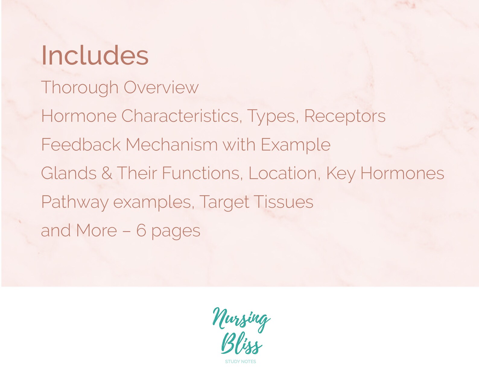 Endocrine Bundle Nursing Notes Student Study Guides | Etsy