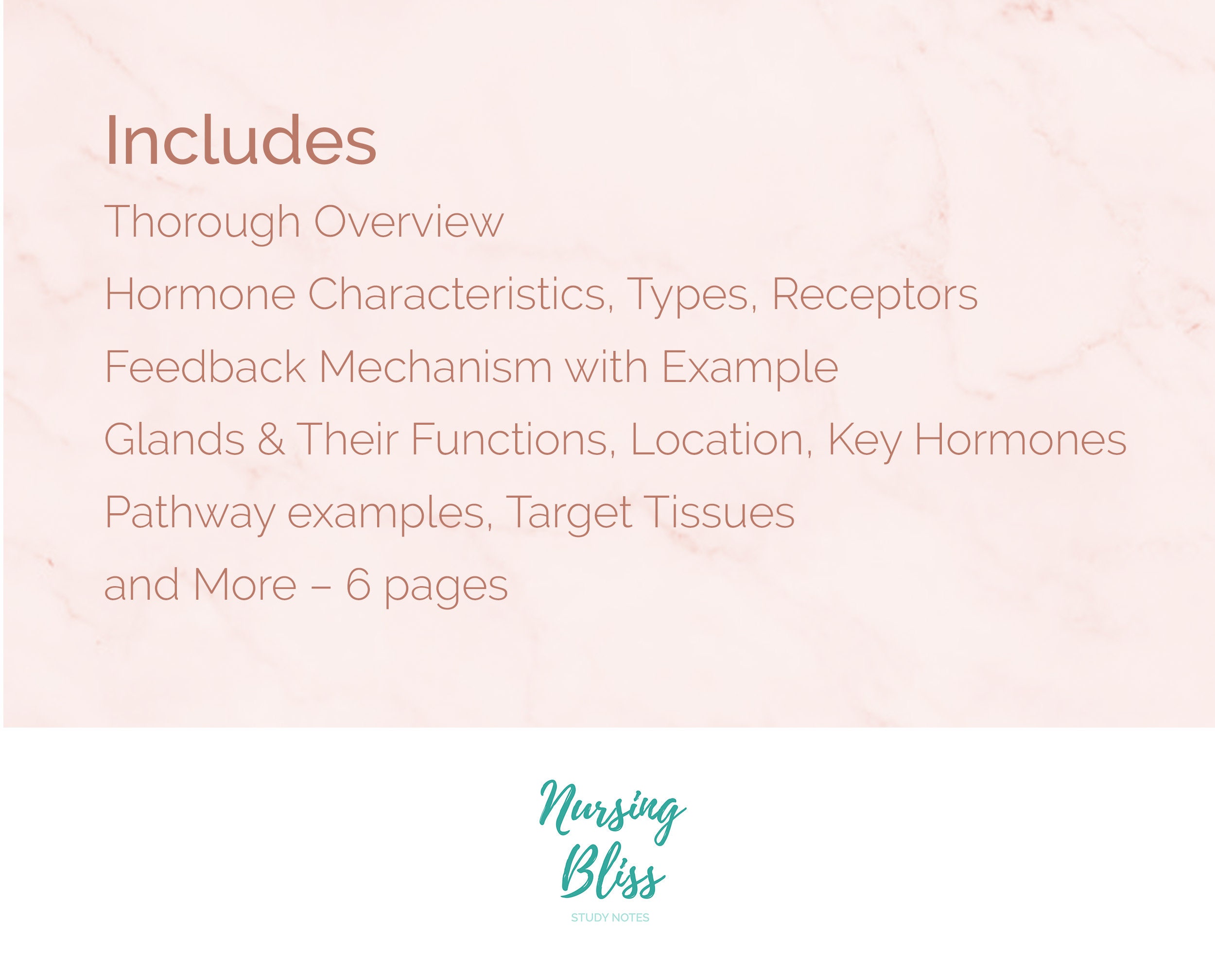 Endocrine Bundle Nursing Notes Student Study Guides | Etsy