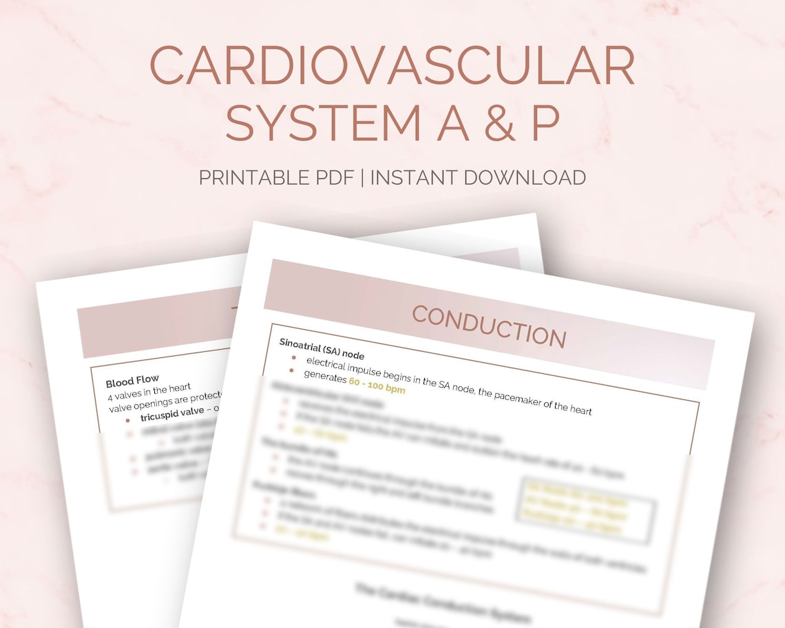Cardiovascular System A & P Study Guide | Nursing Notes | the Heart ...