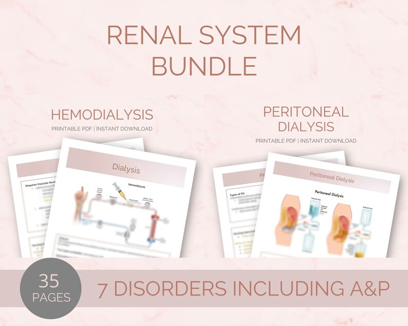 Renal / Urinary System Bundle Study Guide Nursing Notes | UTI | Calculi ...