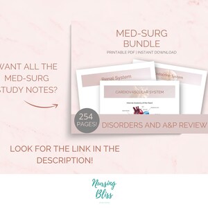 Renal / Urinary System Bundle Study Guide Nursing Notes | UTI | Calculi ...