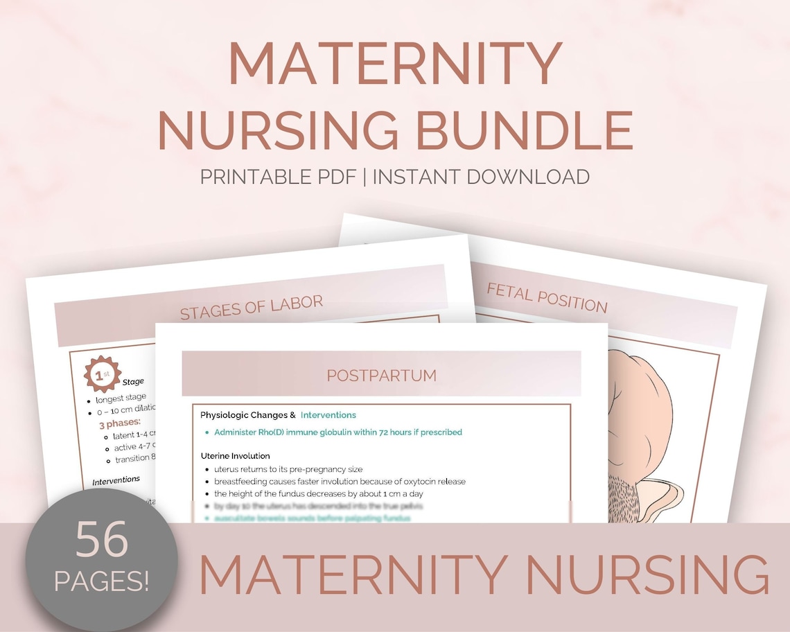 OB & Maternity Nursing Study Guide Nursing Notes 56 Pages Includes ...