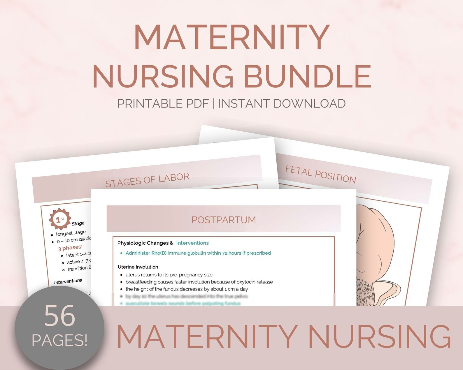OB & Maternity Nursing Study Guide Nursing Notes 56 Pages - Etsy