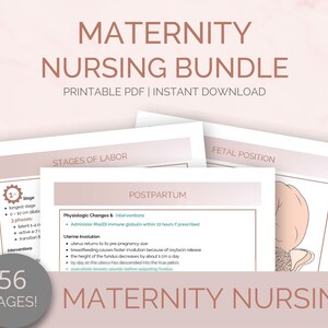 OB & Maternity Nursing Study Guide Nursing Notes 56 Pages Includes ...
