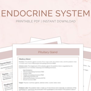 Endocrine System Nursing Notes | Student Study Guides | Anatomy ...