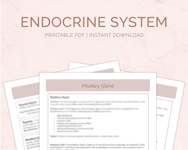 Endocrine System Nursing Notes | Student Study Guides | Anatomy ...