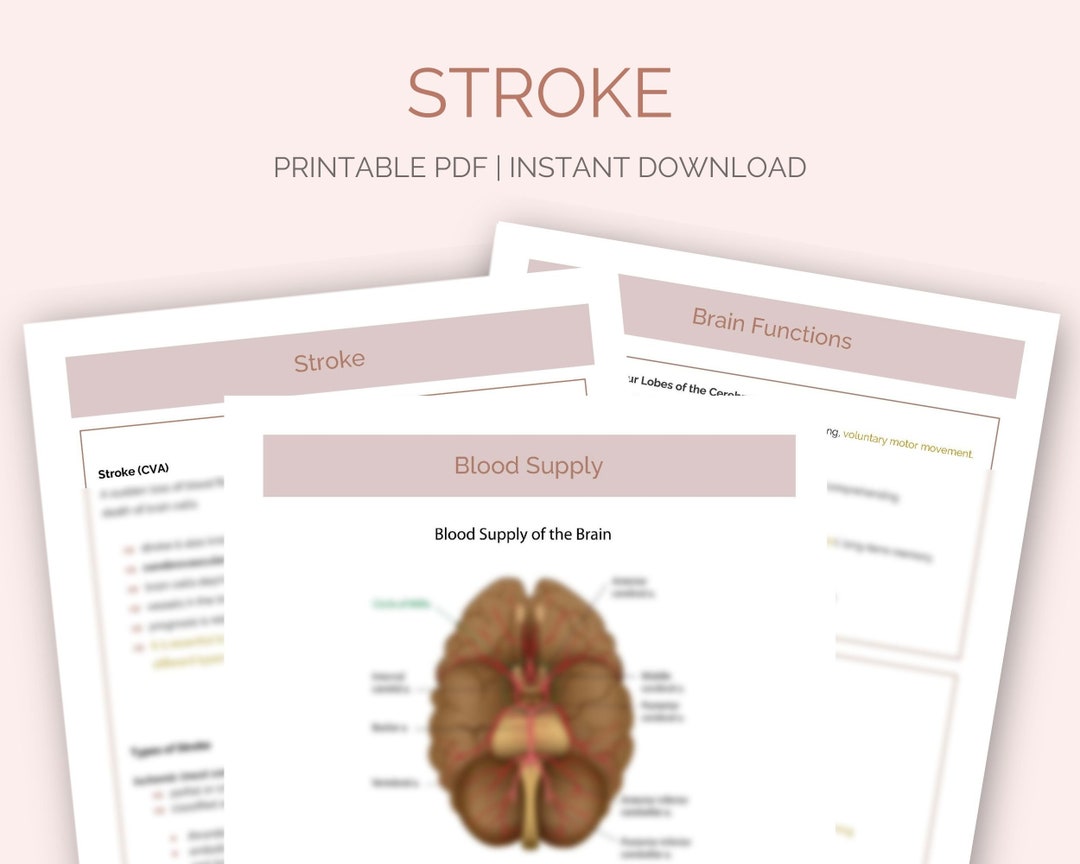 Stroke (CVA) Nursing Study Guide | Med-surg, Neuro 7 Pages (digital PDF ...