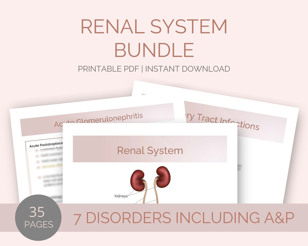 Renal / Urinary System Bundle Study Guide Nursing Notes | UTI | Calculi ...