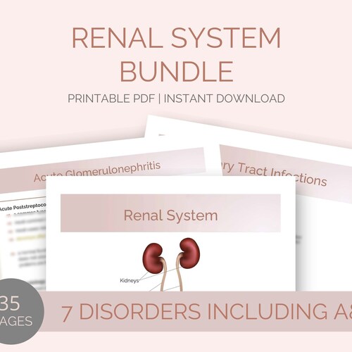 Renal / Urinary System Bundle Study Guide Nursing Notes UTI - Etsy