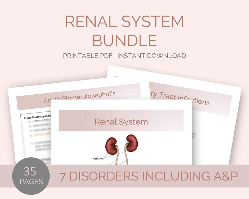 Renal / Urinary System Bundle Study Guide Nursing Notes | UTI | Calculi ...