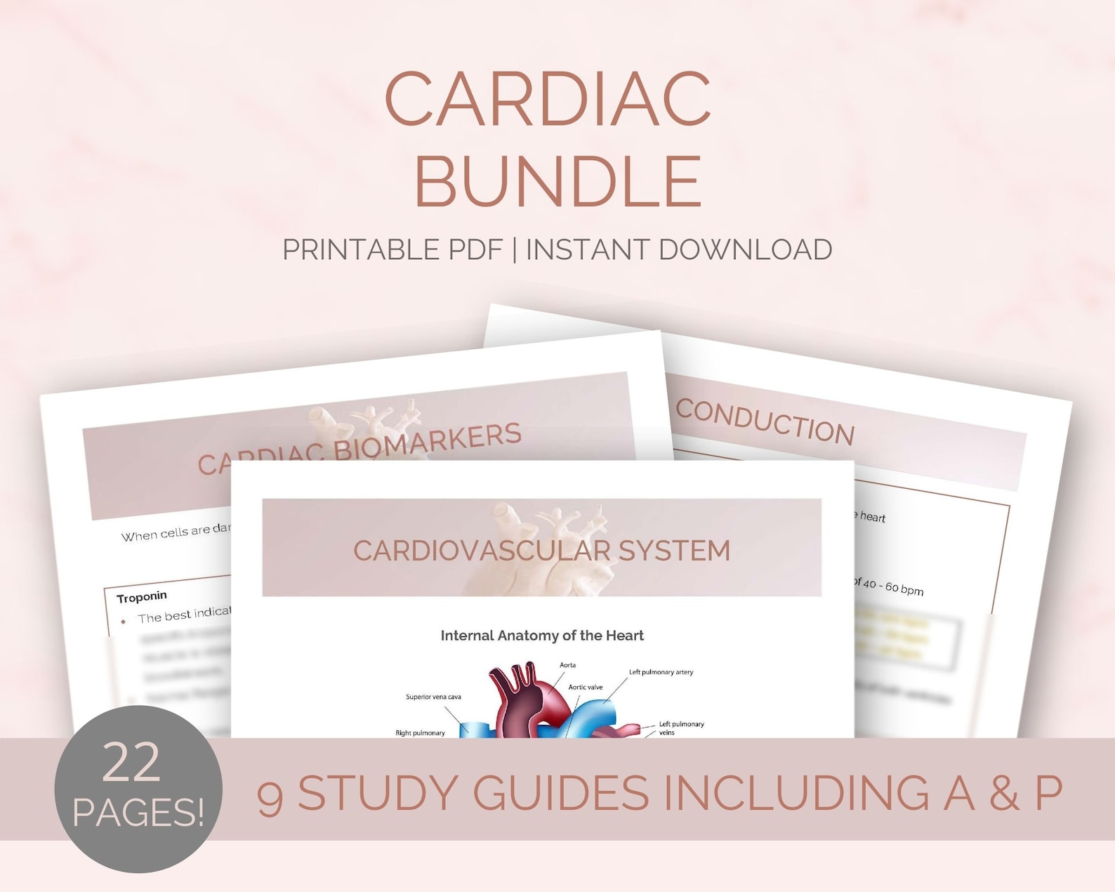 Cardiac Bundle Study Guide for Med Surg | Including Pharmacology and ...