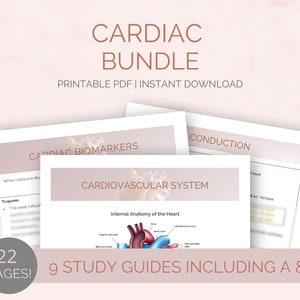 Cardiac Bundle Study Guide for Med Surg | Including Pharmacology and ...