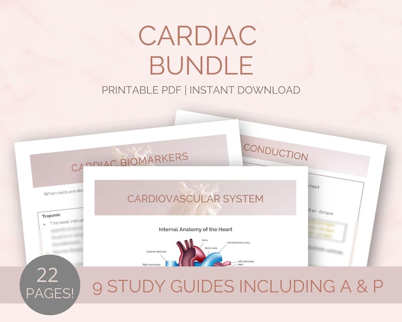 Cardiac Bundle Study Guide for Med Surg | Including Pharmacology and ...