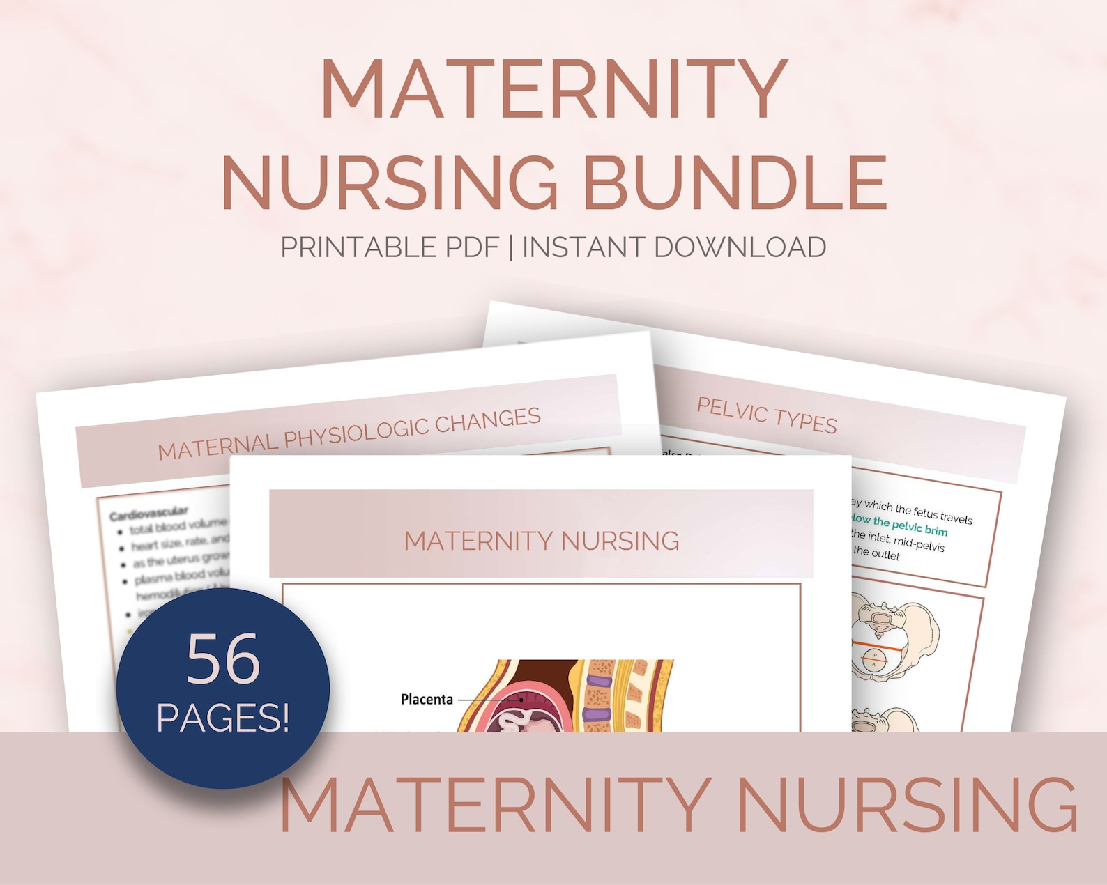 OB Maternity Nursing Study Guide, Nursing Notes, 56 Pages | Includes ...