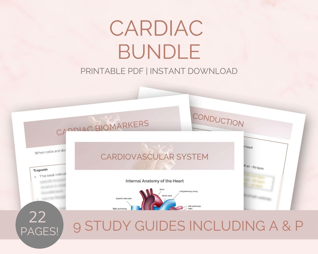 Cardiac Bundle Study Guide Nursing Notes for Med Surg With A & P Review ...