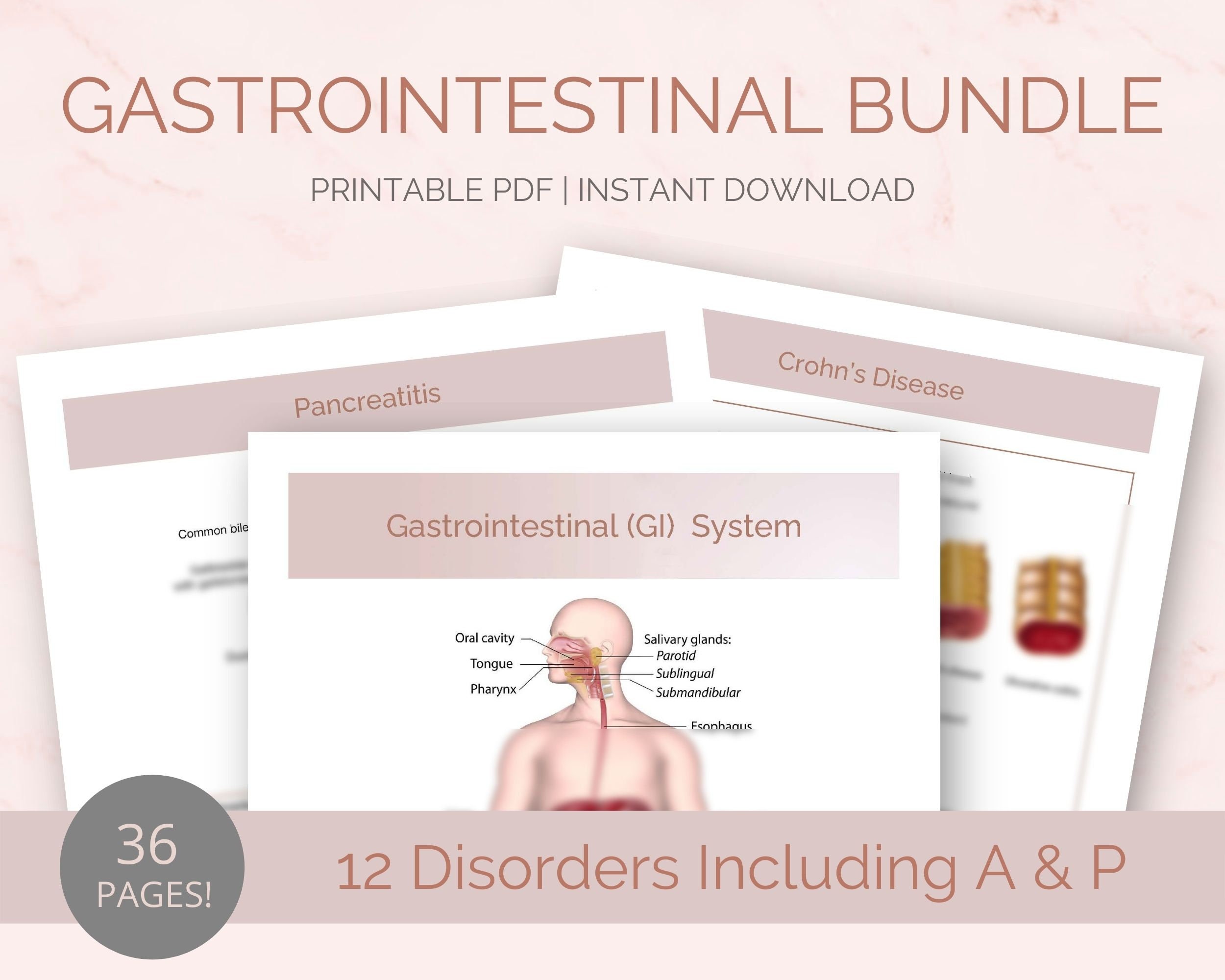 GI Disorders Bundle Nursing Notes Student Study Guides - Etsy
