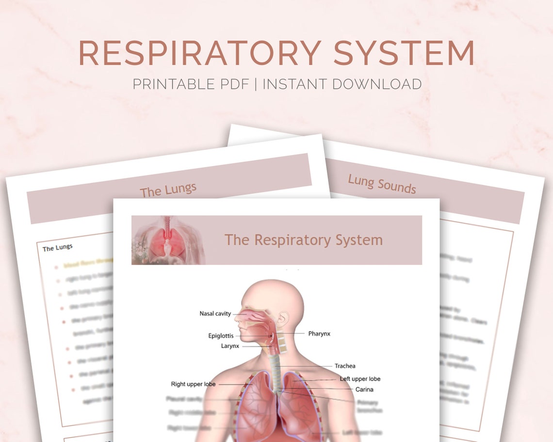 Respiratory System Nursing Notes | Student Study Guides | Auscultating ...