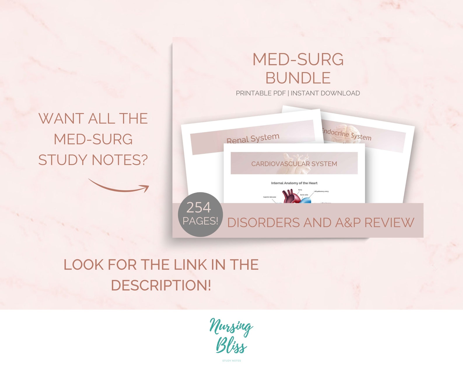 EKG ECG Bundle | Study Guide | Interpretation Step by Step | 5-lead and ...