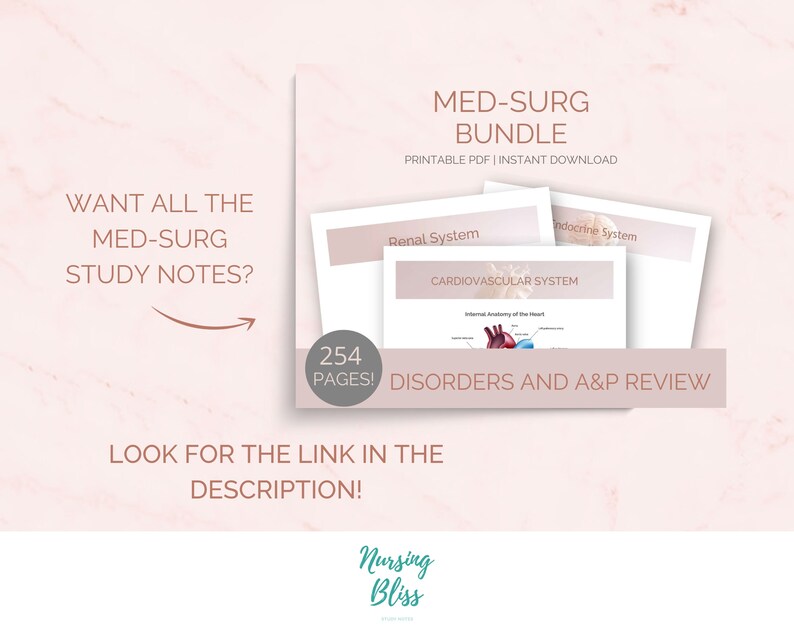 EKG ECG Bundle Study Guide Interpretation Step by Step - Etsy