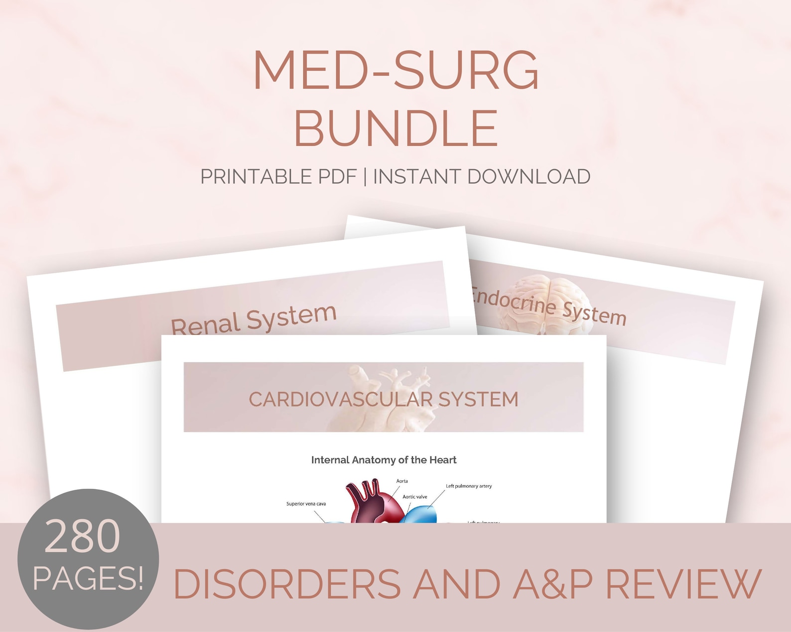 Med Surg Study Guide Bundle Nursing Notes 280 Pages Ekgs - Etsy
