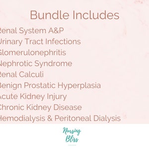 Renal / Urinary System Bundle Study Guide Nursing Notes | UTI | Calculi ...
