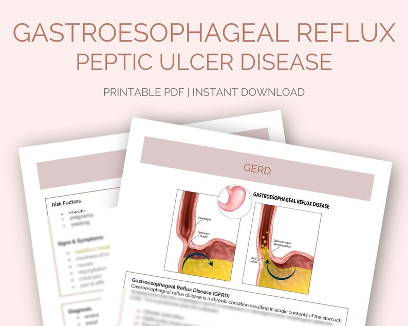 GI Disorders Bundle Nursing Notes | Student Study Guides | Digestive ...